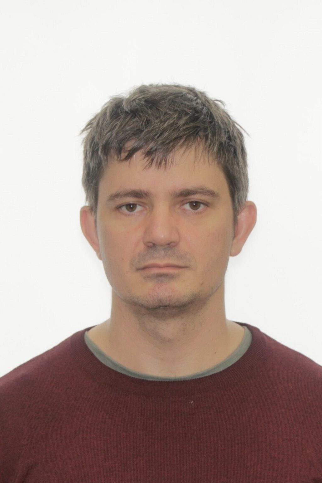 iVoMs – ISVM