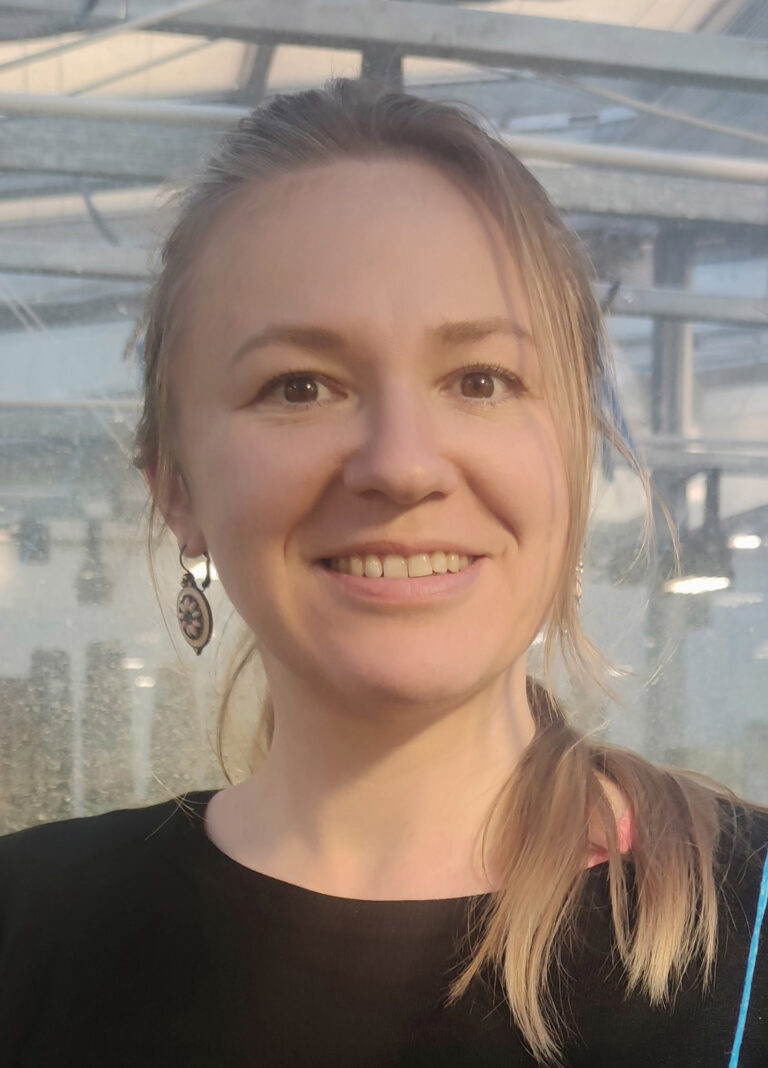 iVoMs – ISVM